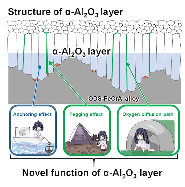 North American Clean Energy - α-Al2O3 Protective Layer That Sticks to ...