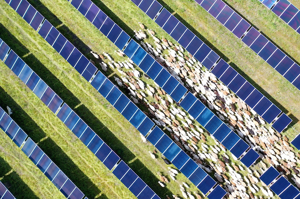 North American Clean Energy - Meta Partners with Silicon Ranch for ...