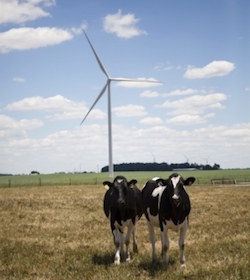 North American Clean Energy - Nestlé Leverages Wind Power in ...