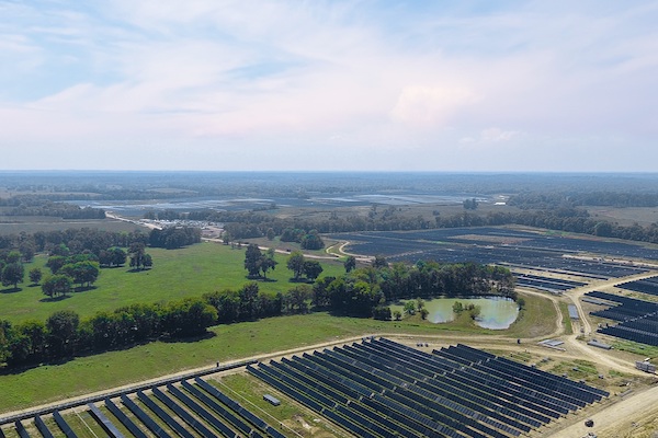 North American Clean Energy - AMEA and Lightsource bp Partner to Bring ...