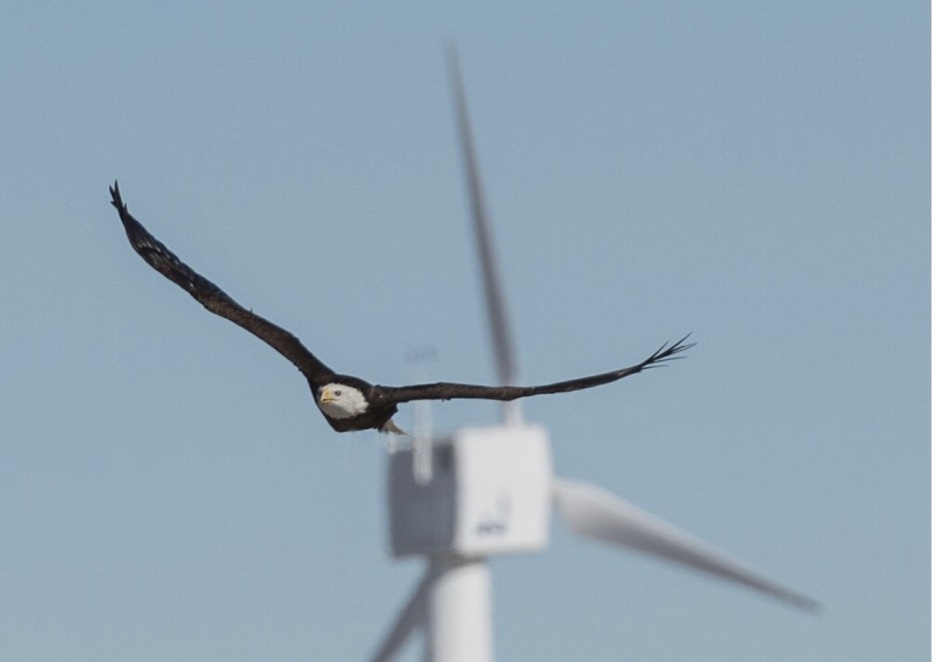 North American Clean Energy - Multi-Year Research Provides Further ...