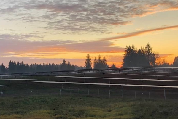 North American Clean Energy - FTC Solar Unveils Tracker-Agnostic SUNOPS ...