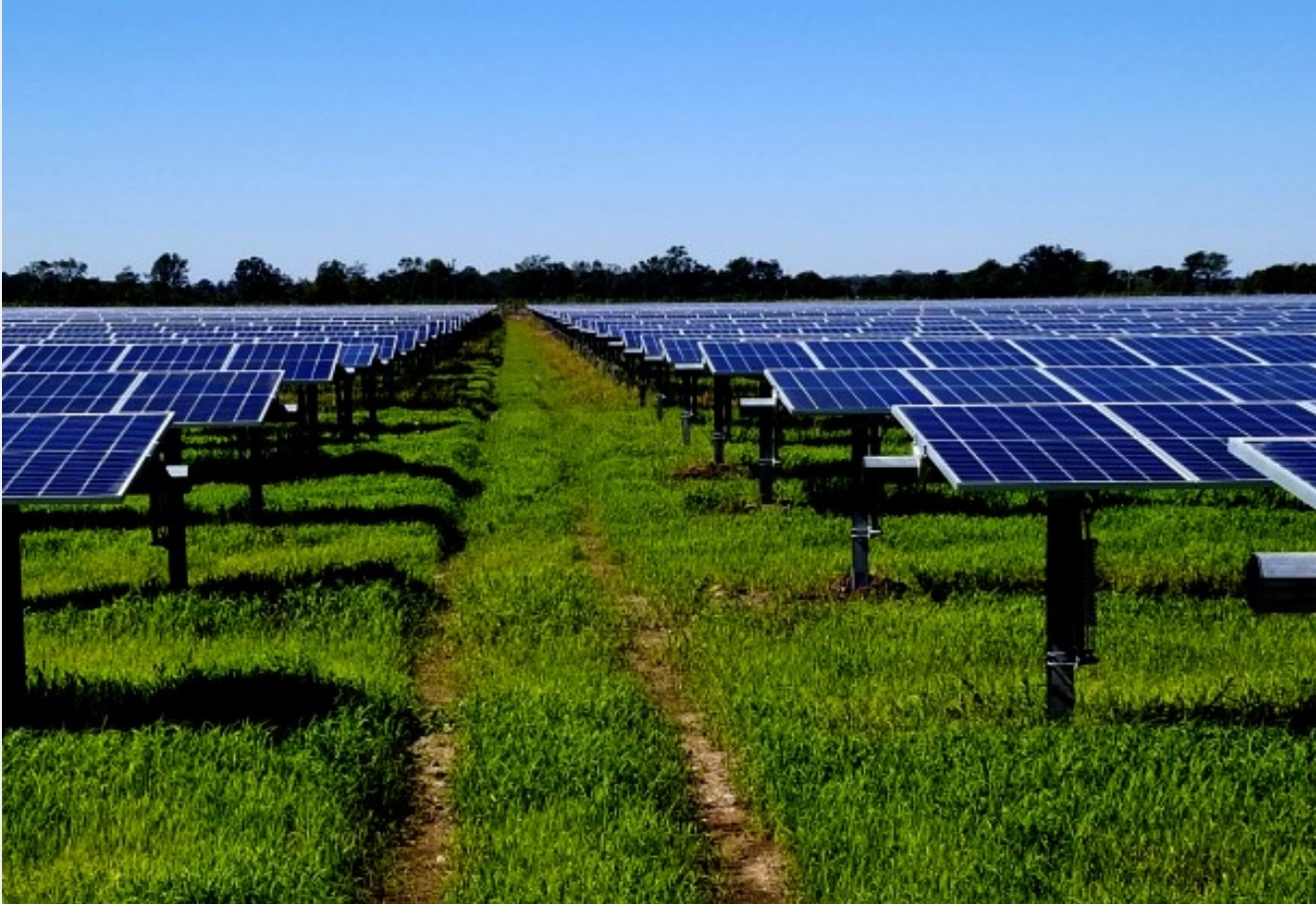 North American Clean Energy - Entergy and NextEra Energy Resources ...