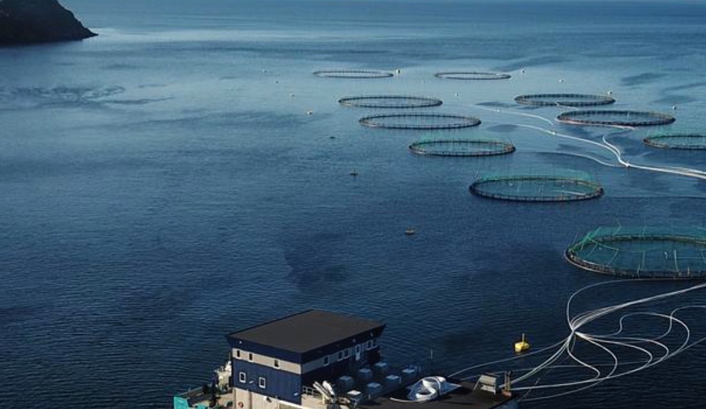 North American Clean Energy - Hillcrest Partners with Ocean Batteries ...