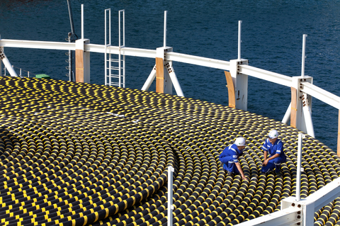 North American Clean Energy - US Offshore Wind Supply Chain Grows As LS ...