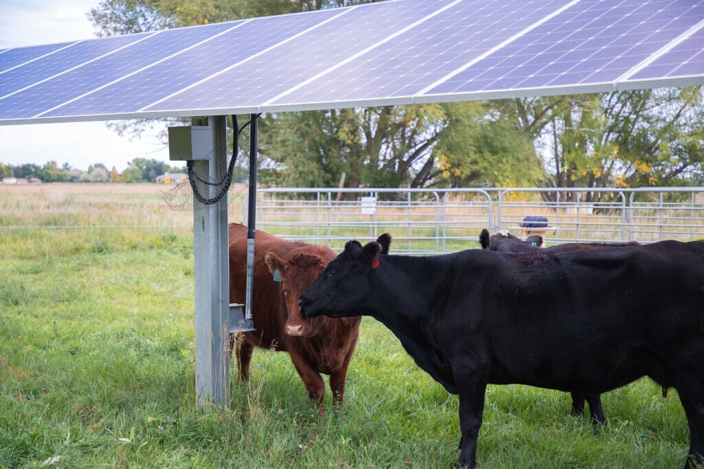 North American Clean Energy - Upcoming Prize Explores the “Moo”tual ...