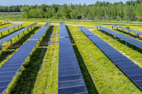 North American Clean Energy - Lightsource bp Solar Project in Louisiana ...